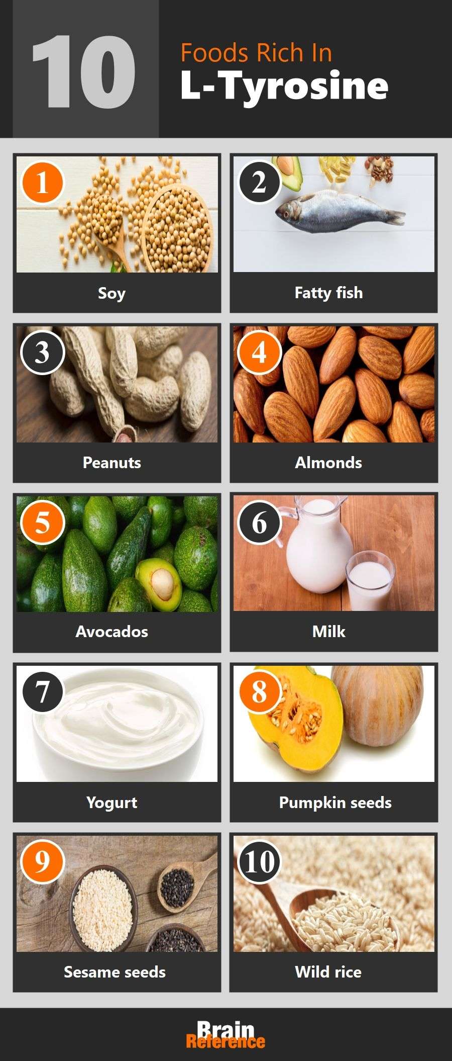 BrainQuicken Review (UPDATE: 2021) – 12 Things To Consider